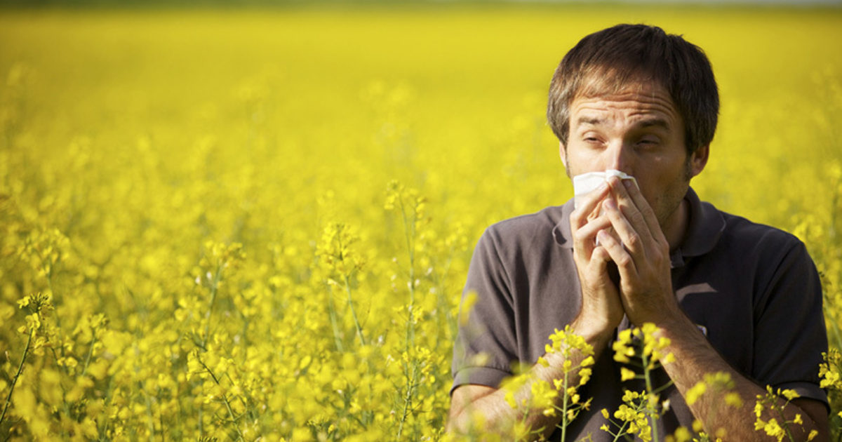 Hay Fever Causes Symptoms And Treatment SpunOut ie Ireland s hay-fever-causes-symptoms-and-treatment-spunout-ie-ireland-s